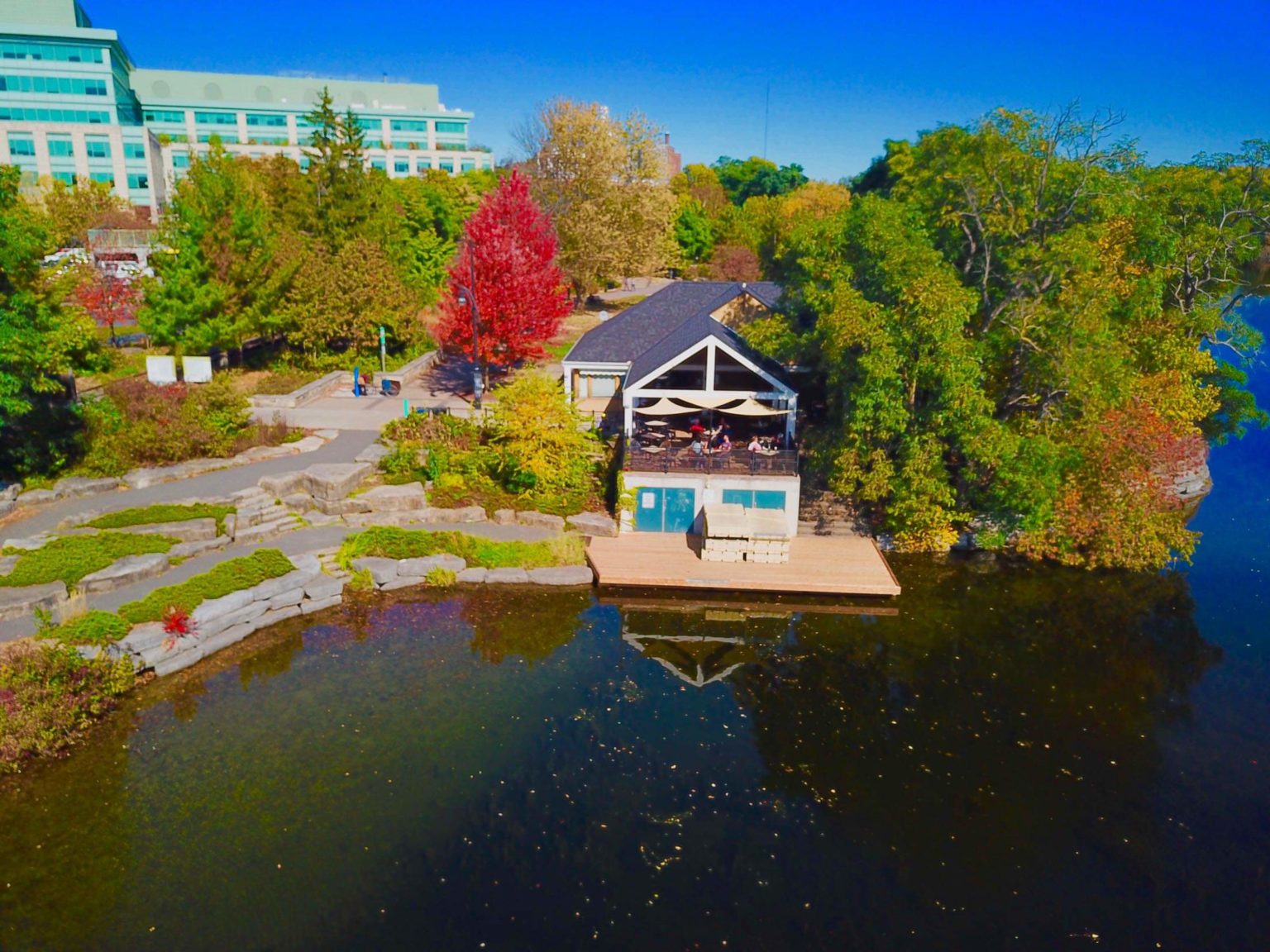 About the Bean – Silver Bean Cafe