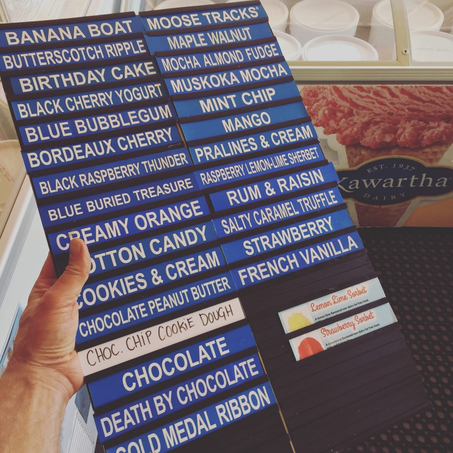 What to Expect June 1st – Silver Bean Cafe